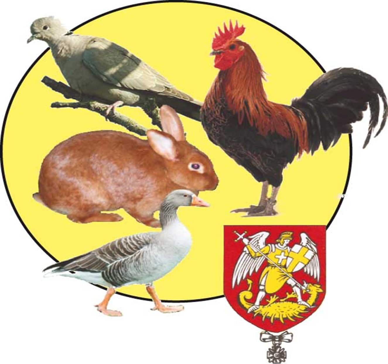 AVICULTURE - Association d' - Ville de Soufflenheim